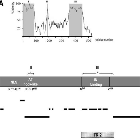 Sequence Conservation And Structural And Functional Elements Within