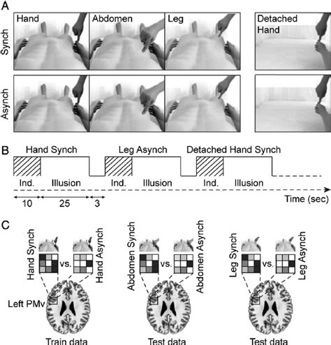 Experiment 2 Design And Multivoxel Pattern Analyses A Design Of The
