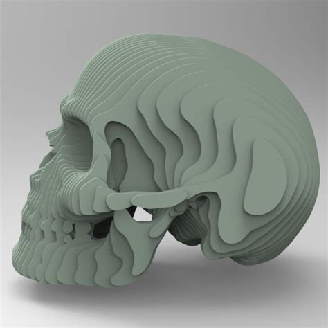 💀 skull slice・free stl file for 3d printing・cults