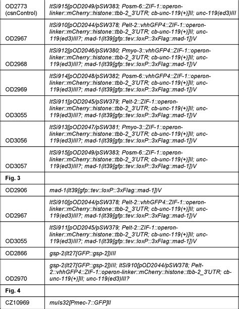 Figure 3 From A Toolkit For Gfp Mediated Tissue Specific Protein