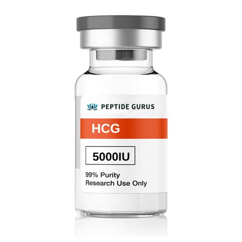 Hcg Peptide And Hormonal Regulation Studies Peptidegurus