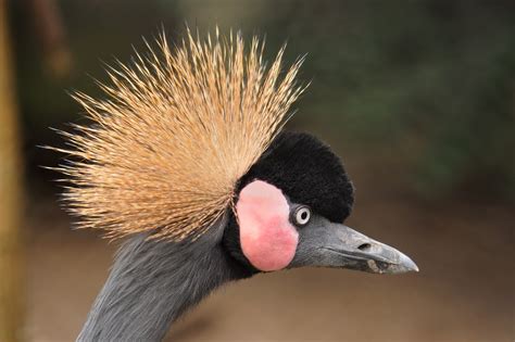 Fotos Van Andre Krull