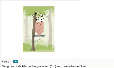 Figure 1 From Metabarcoding Dietary Analysis In The Insectivorous Bat Nyctalusleisleri And