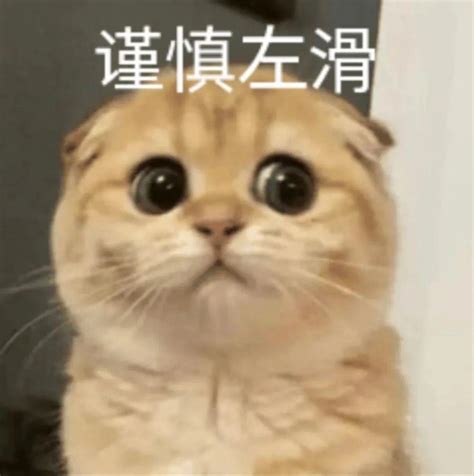 原来两头蛇真的存在？这个双生体活得还很好 知乎