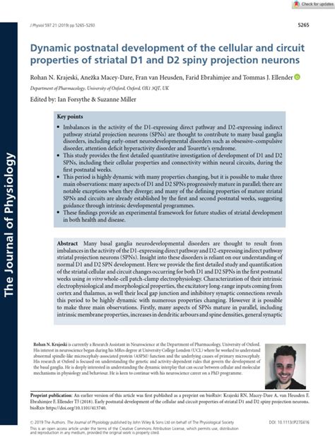 Dynamic Postnatal Development Of The Cellular And Circuit Properties Of Pdf Excitatory