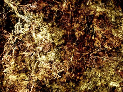 Entropy Texture By Fantasystock On Deviantart