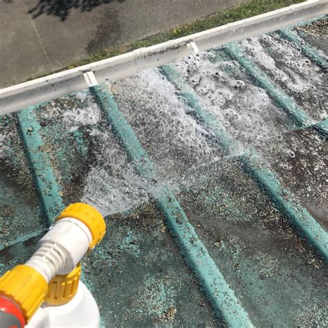 Moss Treatment Gutter Protection New Zealand
