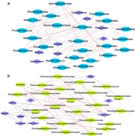 Microbial Co Occurrence Networks For Prokaryotes A And Download