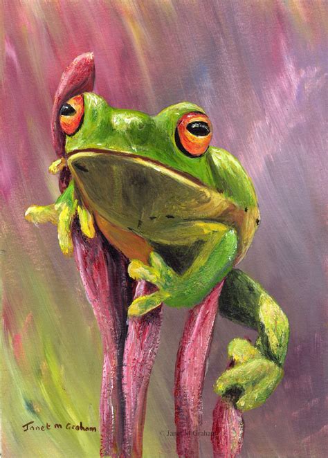 Australian Wildlife Painting Art Tree Frog Sfa Wildlife 5 X 7 Inches