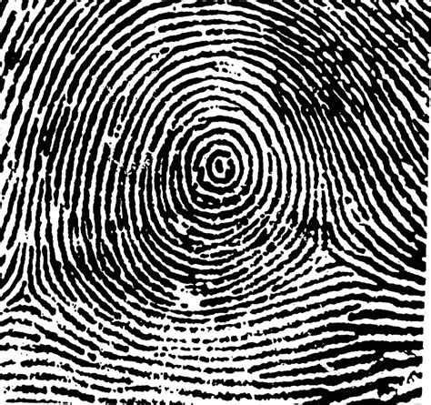 Types Fingerprints