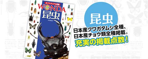 ワンダ Wonda ポプラディア大図鑑