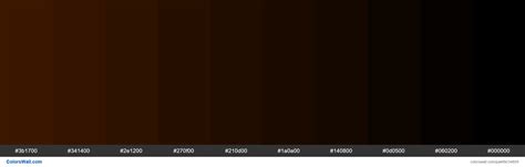 Chocolate Brown Color Swatch