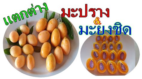 มะปราง ต่างกับมะยงชิด และรู้หรือไม่มะปรางมี 4 ชนิด Youtube