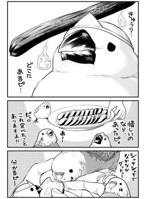本日発売のビッグコミック12月増刊号に『ニャーゴとピュロロロ』が2話掲載 初丸うげべそ🕊『ちゅんトーク3』519発売 さんのマンガ