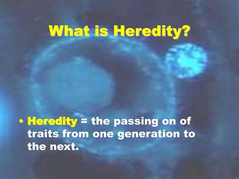 Heredity And Genetics Powerpoint Ppt