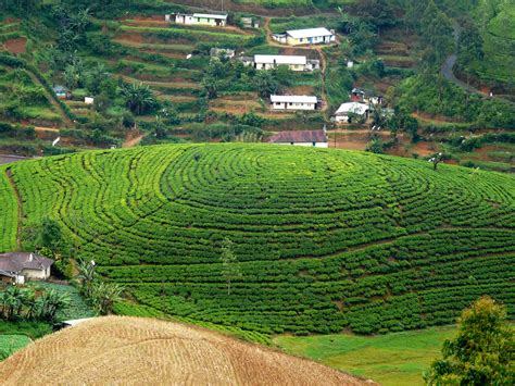 Sri Lanka This Was Shot Near Talawakele While Traveling By… Flickr