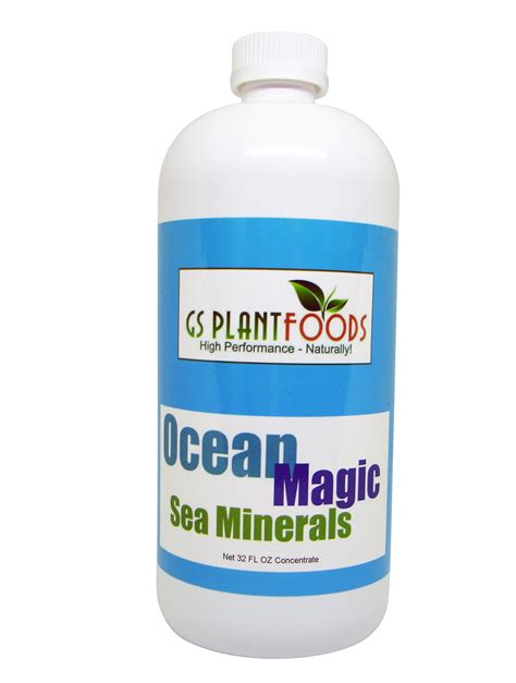 Buy Ocean Magic Sea Minerals Organic Garden Plant Supplement Fertilizer
