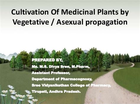 Cultivation Of Medicinal Plants By Vegetativeasexual Propagation