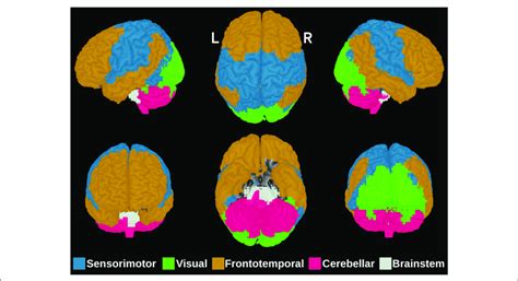 The Five Brain Sub Networks Obtained By The Spectral Clustering