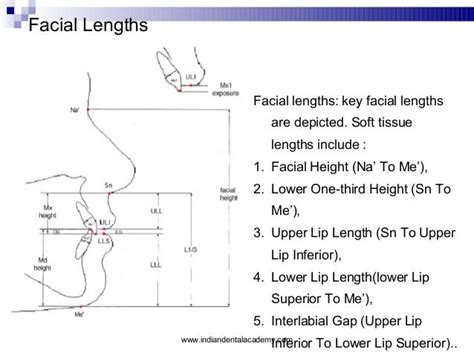 Soft Tissue Cephalometric Analysis