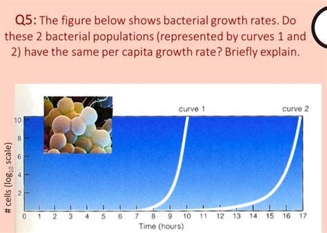SOLVED Q The Figure Below Shows Bacterial Growth Rates Do These Bacterial Populations