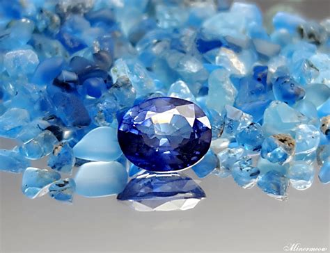 Sapphire Blue Explorersno