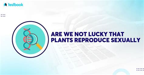 Sexual Reproduction In Plants Stages Types Of Flowers And FAQs