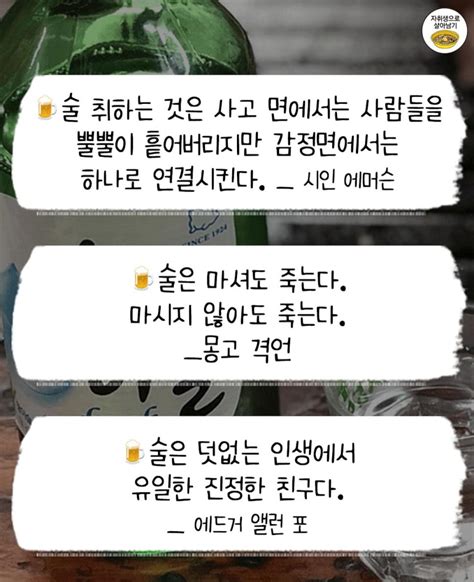 술에 관한 명언들 모음