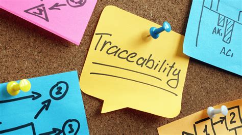 Why Traceability Technology Is Becoming A Core Focus For The Textile