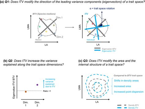 Potential Effects Of Including Itv In Trait Space A In This Example Download Scientific