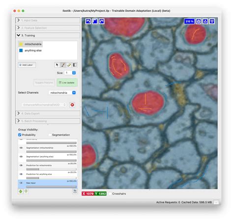 ilastik trainable domain adaptation