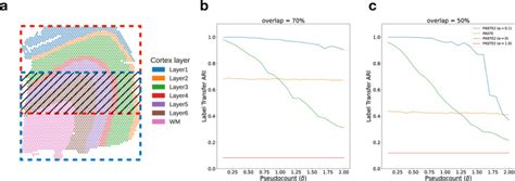 Paste2 Partial Alignment Of Multi Slice Spatially Resolved Transcriptomics Data Pubmed