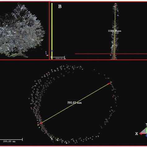 Paired Sample T Test Tree Height And Diameter At Breast Height Dbh Download Table