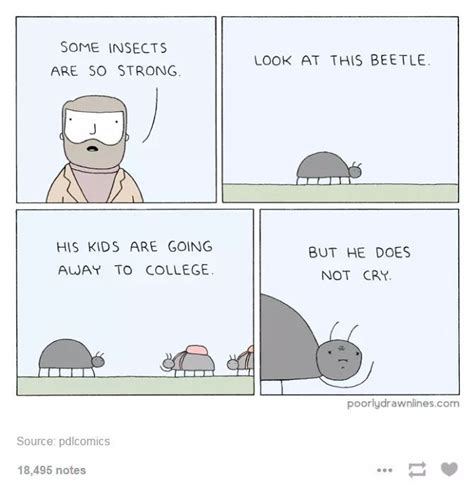 What A Brave Beetle Meme Subido Por Mcbadass12314 Memedroid
