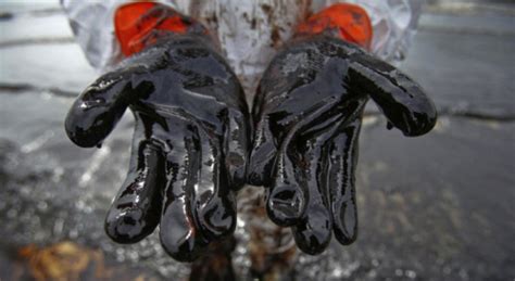 What Does Lisa R Bardack Have To Say Words For A Better World