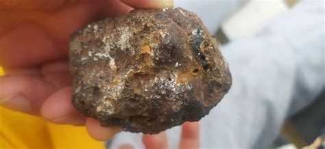 Vesicular Basalt Rwhatsthisrock