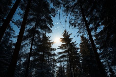 Premium Photo Moonlight Shining Through A Forest Canopy