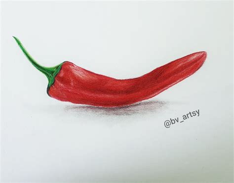 Realistic Chilli Or Pepper Drawing
