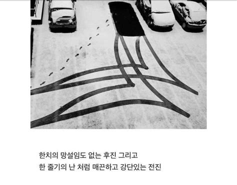 기분이 좋아지는 후진사진 유머움짤이슈 에펨코리아