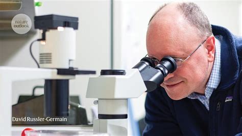 Natural Killer Cells Show Their Cancer Fighting Worth Lifeboat News
