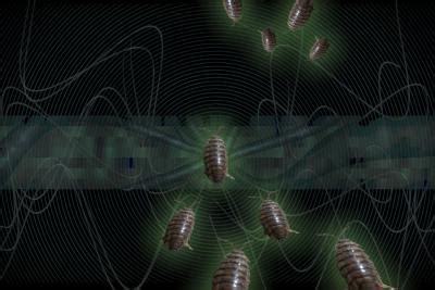 How To Get Rid Of A Trojan Using Malwarebytes