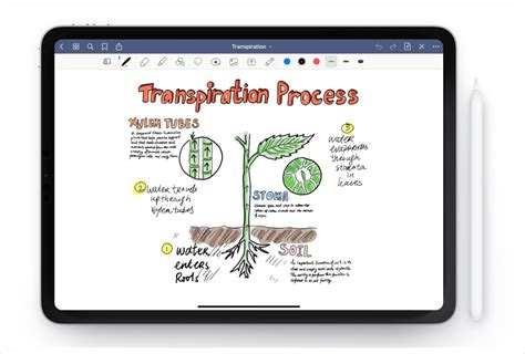 아이패드 필기 앱 추천 굿노트 활용방법 네이버 포스트