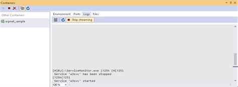 Visual Studio Container Tools Extension Preview • 3rd Man