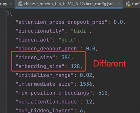 convering tf to torch how to set custom embedding size when using load