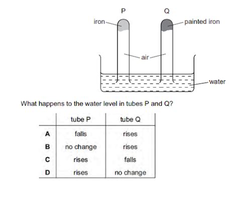 The Diagram Shows An Experiment To Investigate How Paint Affects The Rust