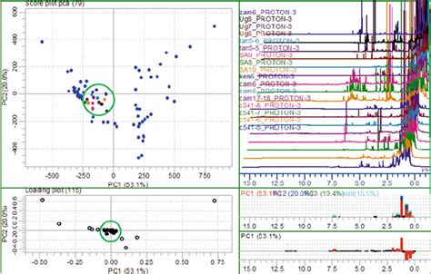 Principal Component Analysis Of Proton Nmr Data Of Active Vs Inactive