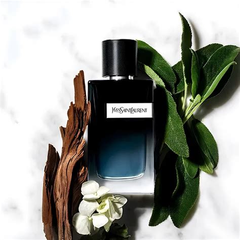 Nước Hoa Nam Yves Saint Laurent YSL Y EDP 200ml Vua Hàng Hiệu