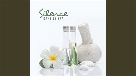 Musique Relaxante Pour Spa Youtube