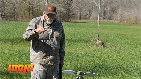 Dove Hunting Tips MOJO Quick Set Dove Tree HuntingVoyager