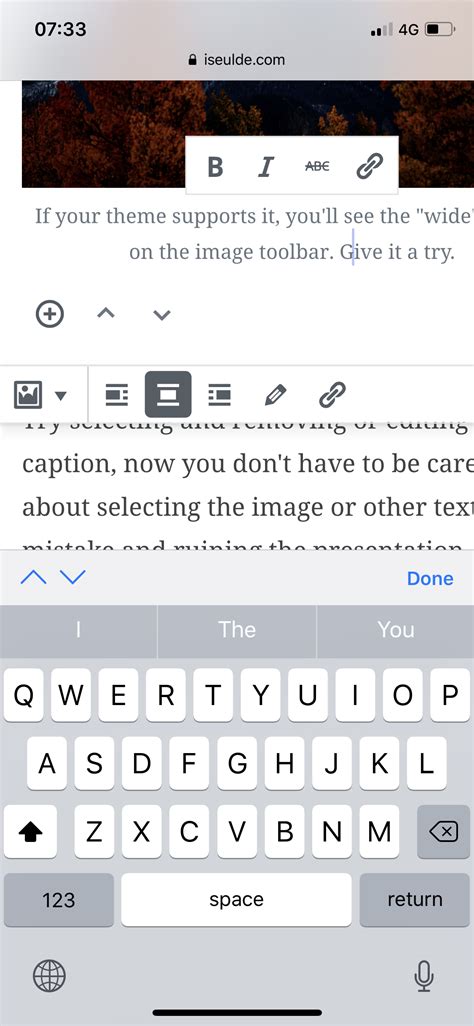 Block Toolbar Looks Odd On Mobile · Issue 7256 · Wordpressgutenberg